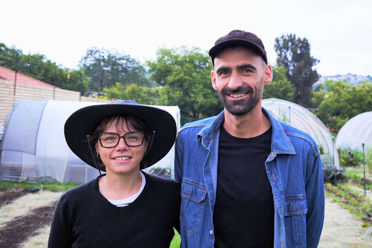 Jolly Good Farm-An Urban Veggie Farm in Randburg, Gauteng - Chickadee Acres